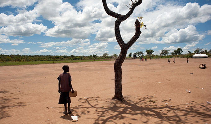Photo essay: Learning under the trees