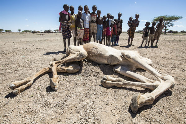 Photo essay: Families struggle for survival in drought-stricken ...